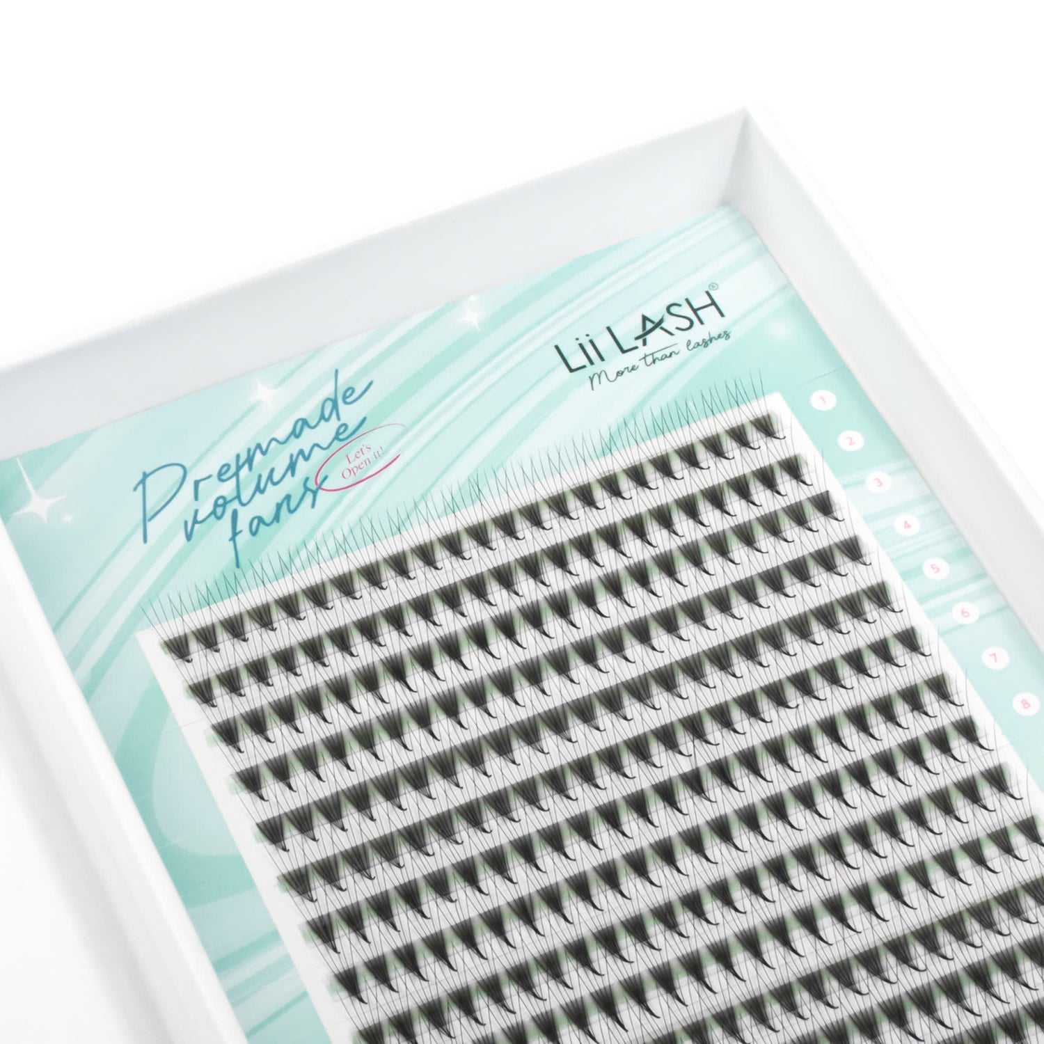 The Anatomy of Perfect Lash Fans: Did you Know?